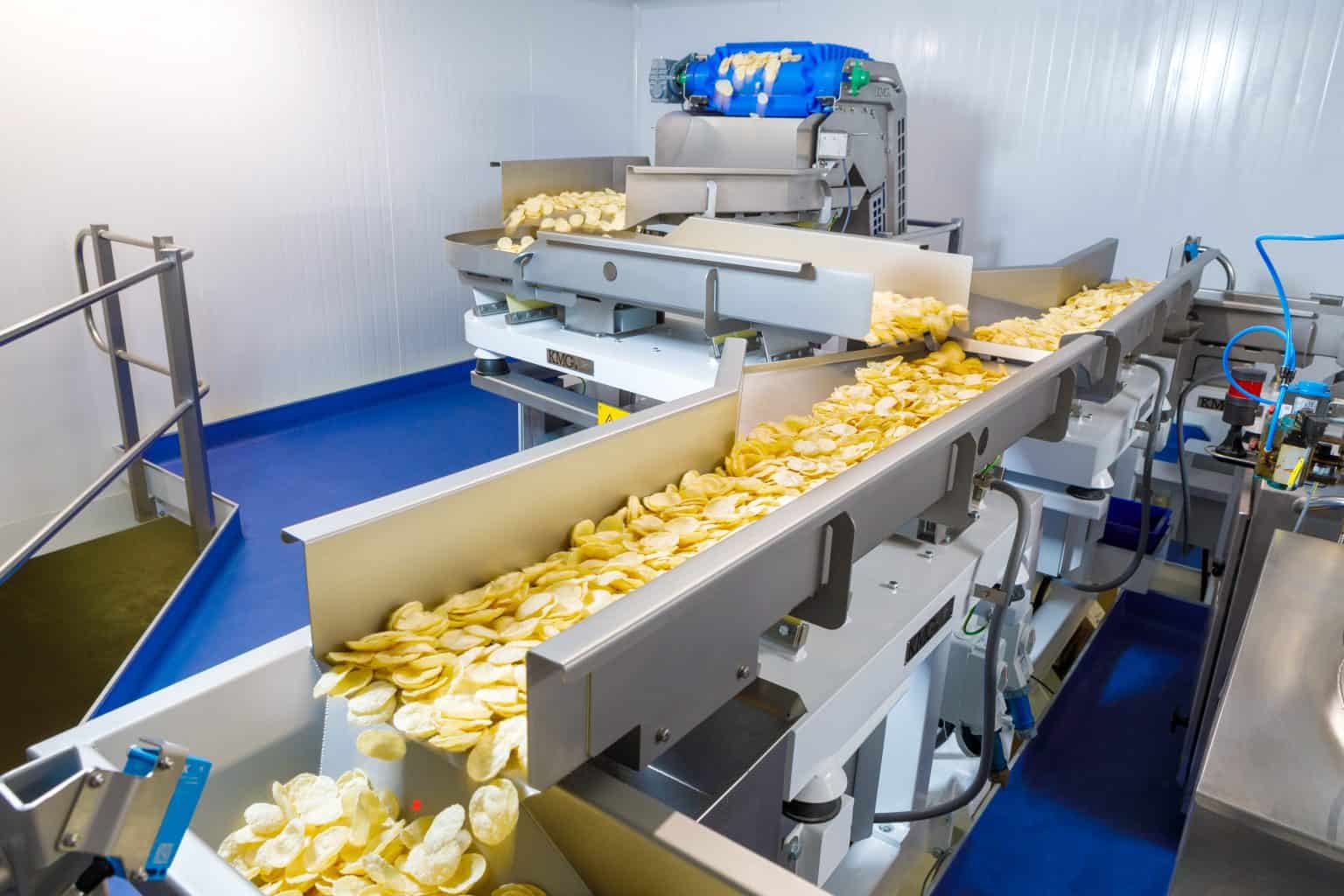 KMG Systems Advanced Food Seasoning & Conveying Systems